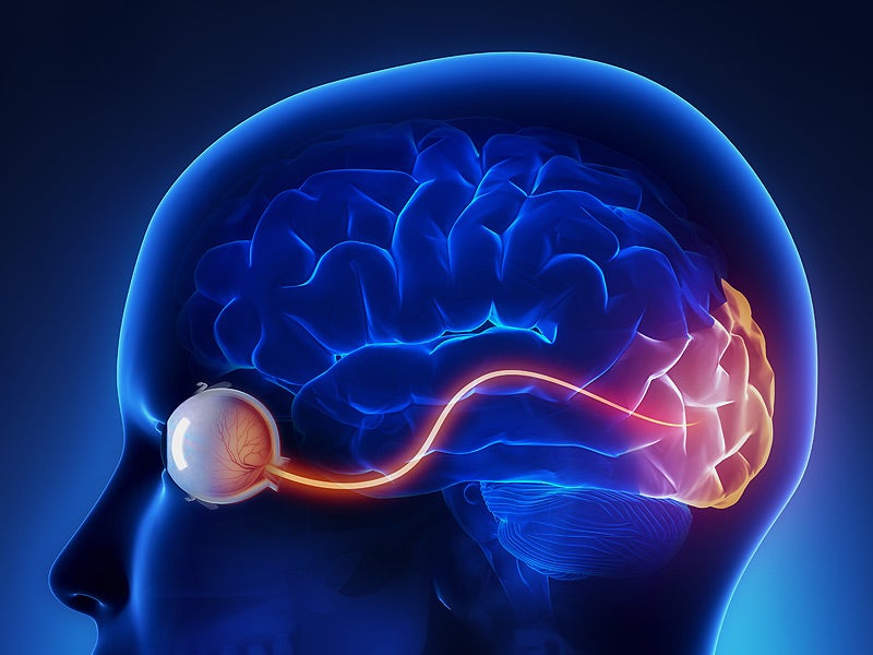 Human Cognitive Map Scales According to Surroundings - UT Austin News ...