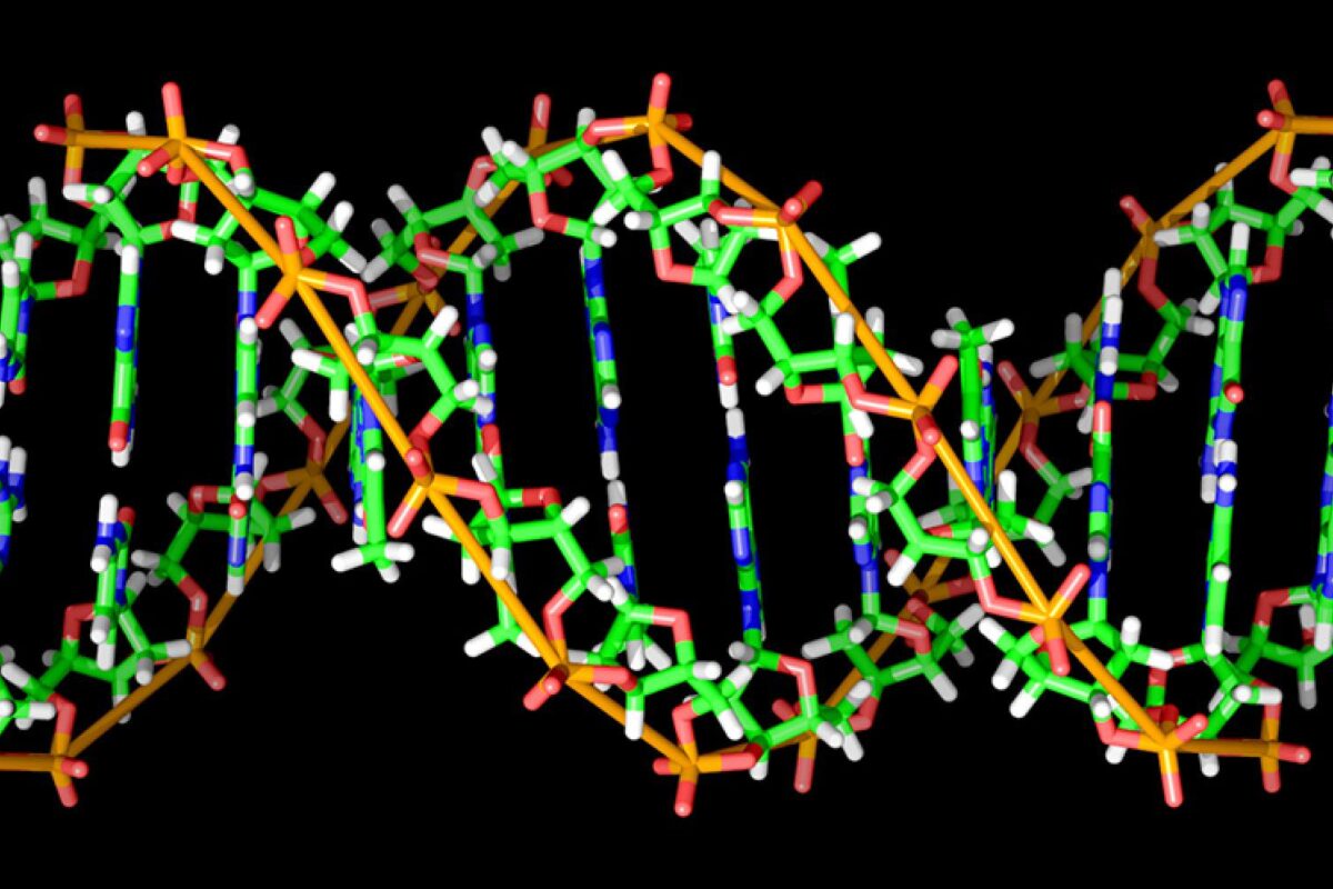 DNA Barcodes That Reliably Work: A Game-Changer for Biomedical Research ...