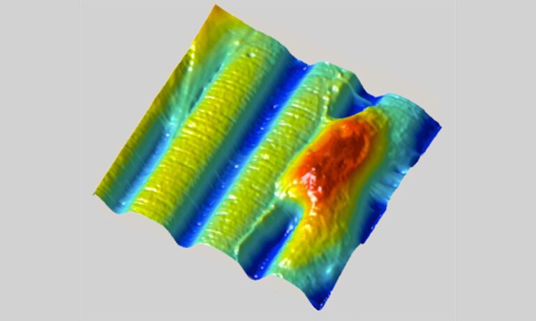 ‘Honey, I Shrunk the Cell Culture’: Scientists Use Shrink Ray for ...