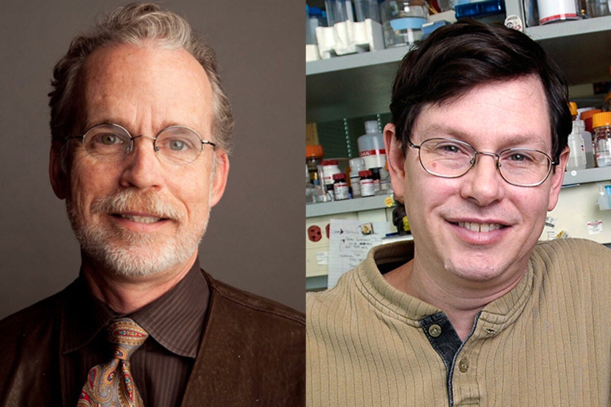 Two UT Scientists Helping to Detect ‘Life As We Don’t Know It’ - UT ...