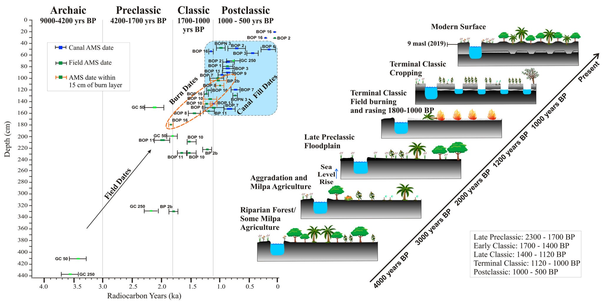 Ancient Maya Canals and Fields Show Early and Extensive Impacts on ...