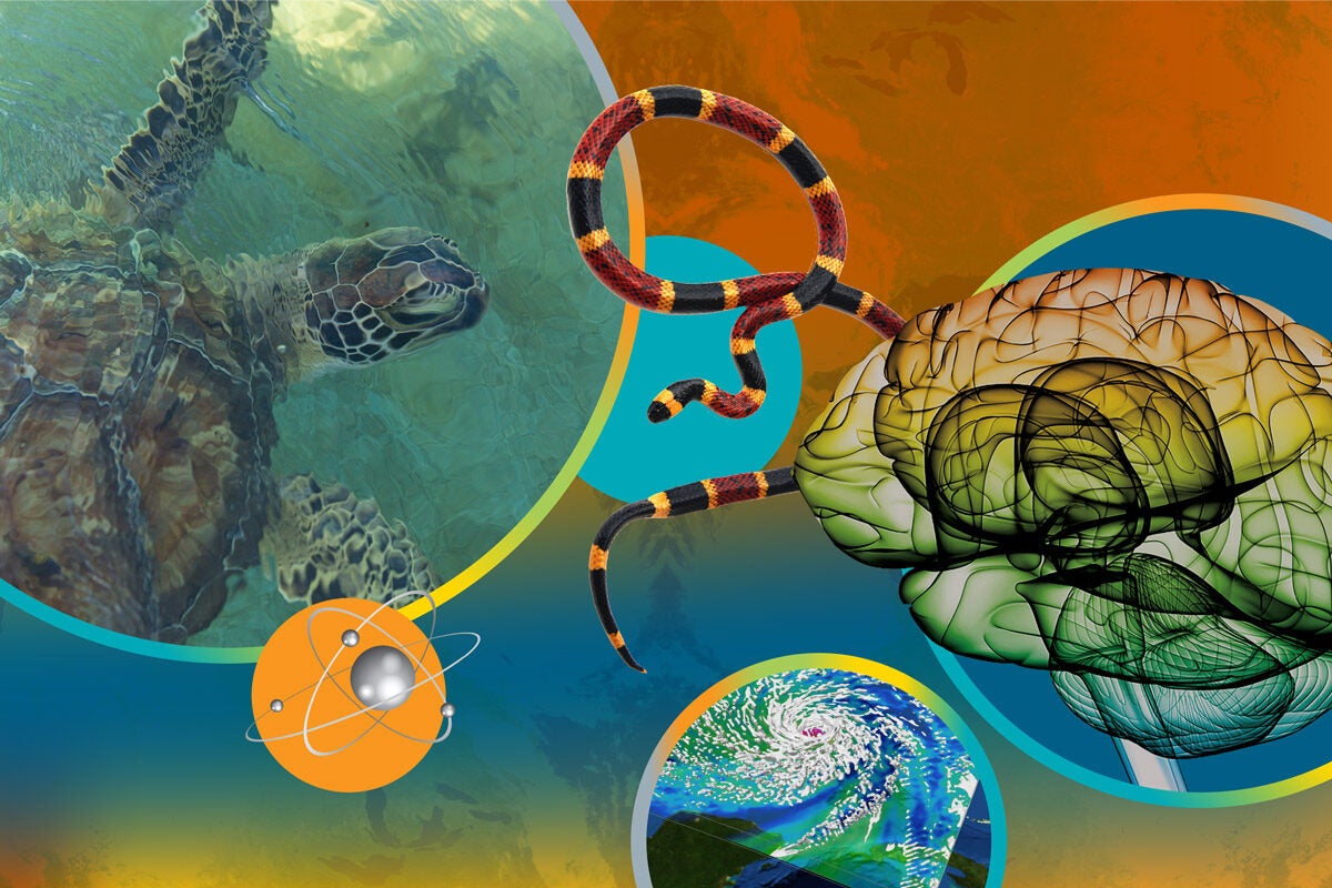 Science for A Changing World - UT Austin News - The University of Texas ...