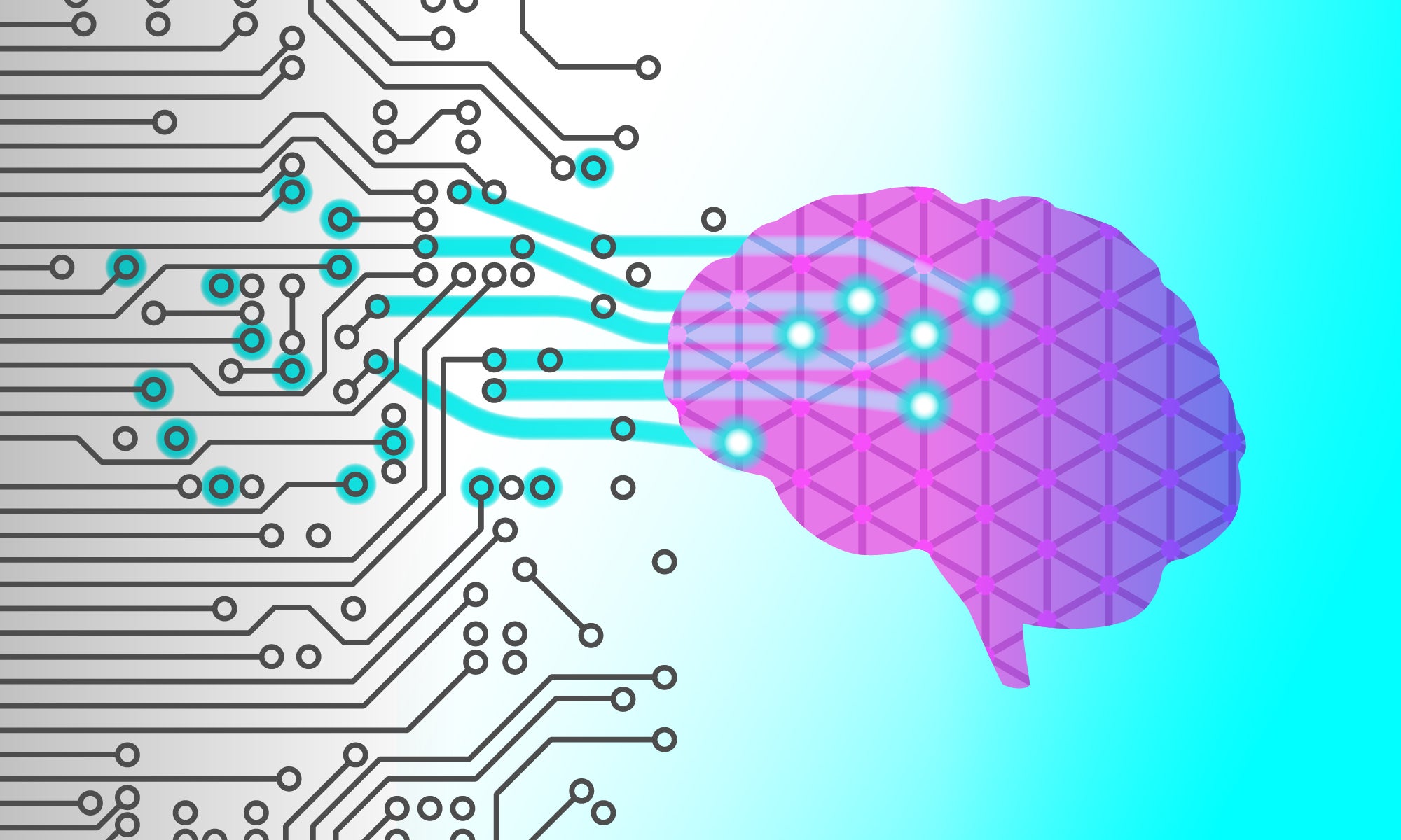 First Glimpse of Brains Retrieving Mistaken Memories Observed - UT ...