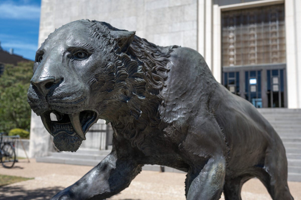 Texas Memorial Museum Set to Reopen in 2023 with Renovations and New ...