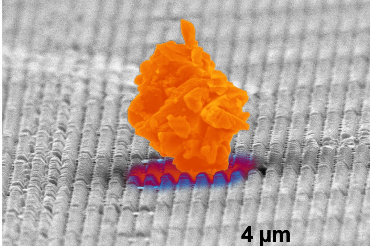 Anti-Dust Tech Paves Way for Self-Cleaning Surfaces - UT Austin News ...