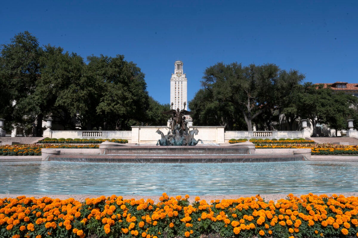 UT Recognizes Another Group of Incredible Faculty Members Through ...