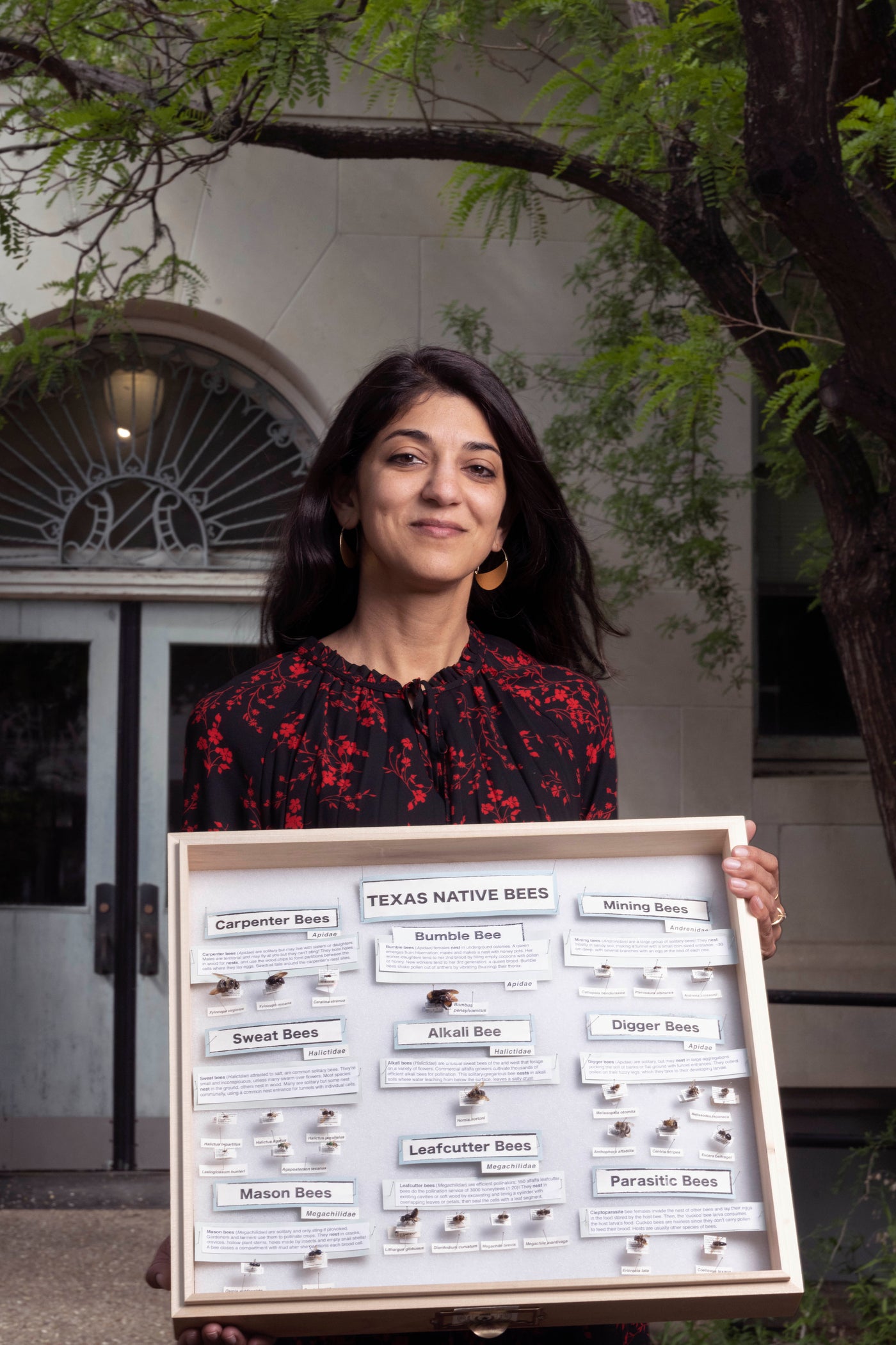 More bees, please - UT Austin News - The University of Texas at Austin