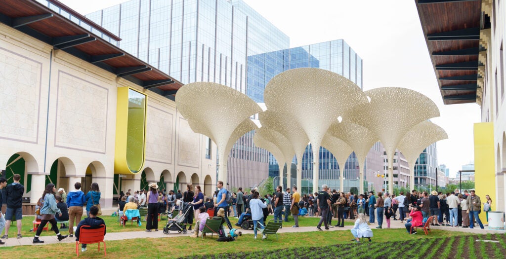 Explore UT’s World-Class Museums During Museum Week - UT Austin News ...