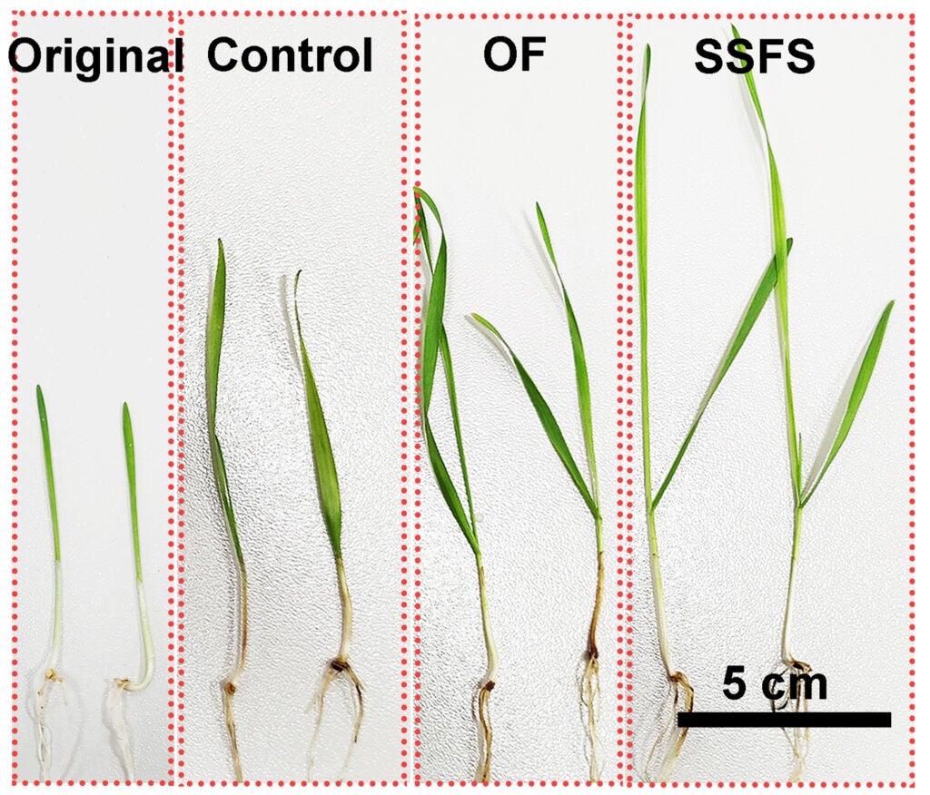 Smart Farming Platform Improves Crop Yields, Minimizes Pollution - UT ...