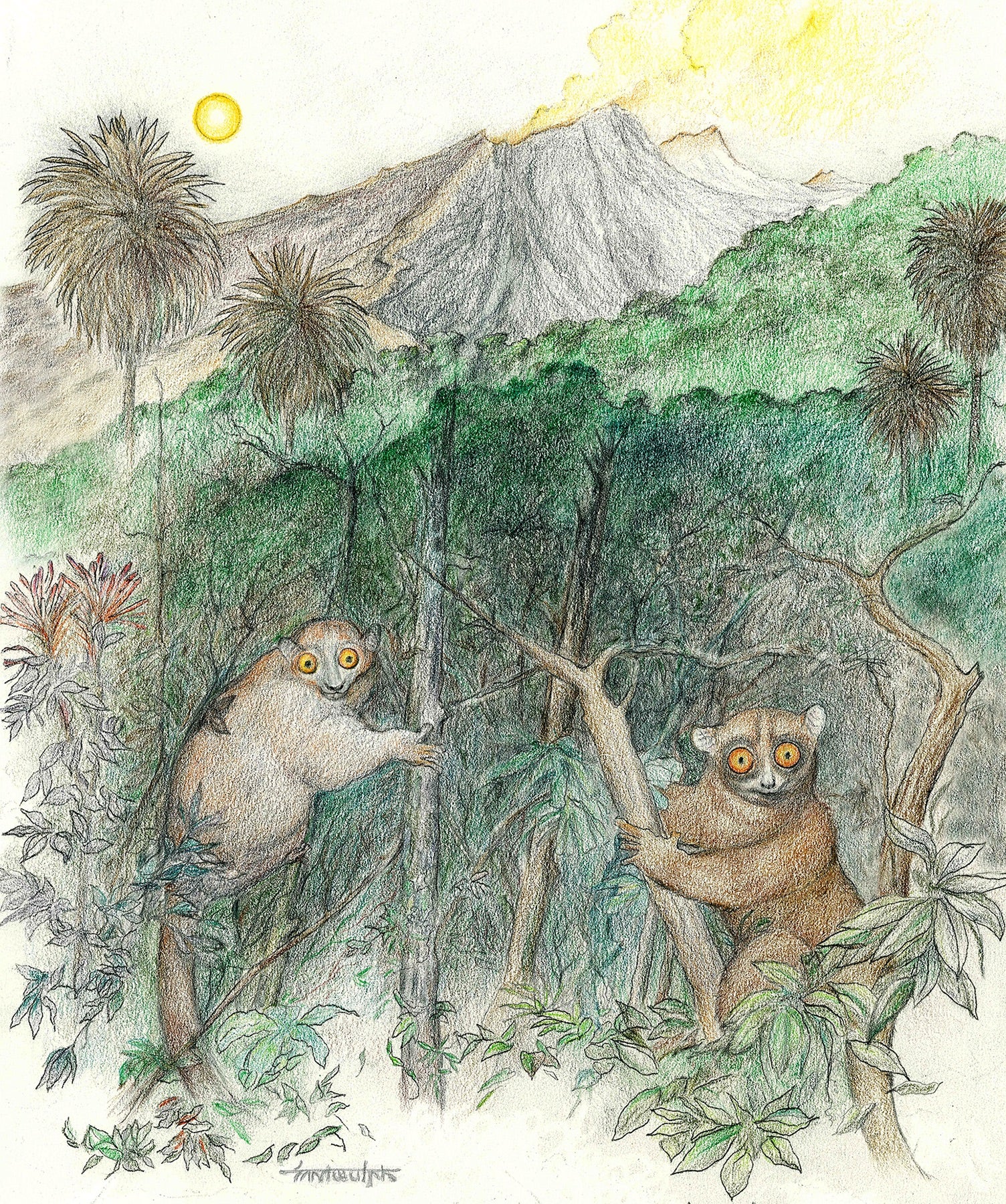 2 New Species of Ancient Primates Identified That Resembled Lemurs - UT ...