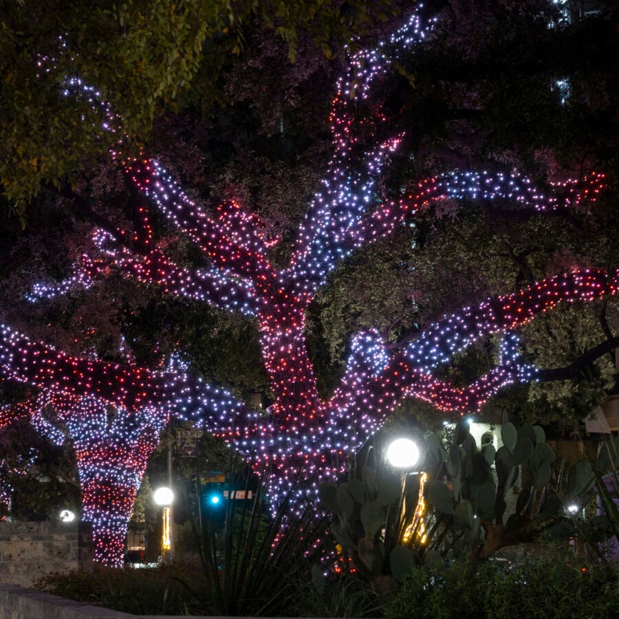 UT Austin Rings in the Holidays with New ‘Longhorn Lights’ Tradition ...