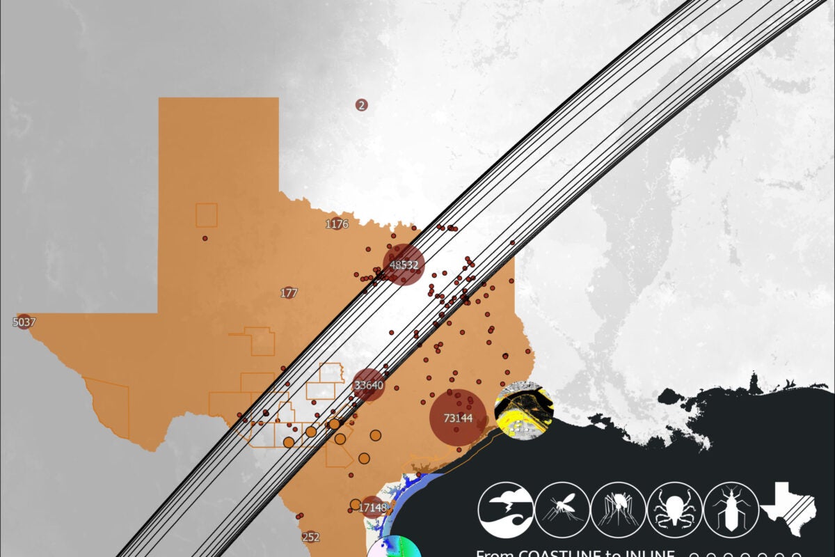 Visualization of Flood, Disease and Climate Modeling through the ...