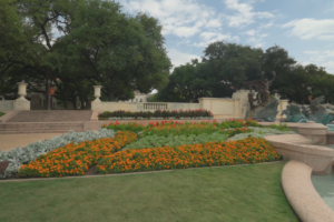 What’s the Story Behind the Forty Acres? - UT Austin News - The ...