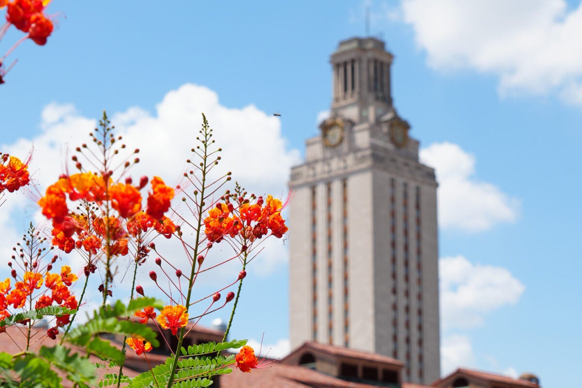Flourishing for Fall - UT Austin News - The University of Texas at Austin