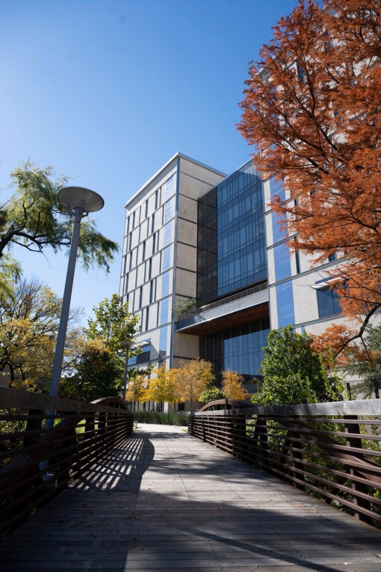 Finding Your Perfect Photo Backdrop on the Forty Acres - UT Austin News ...