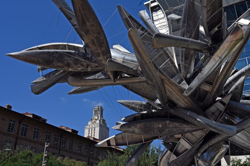 Finding Your Perfect Photo Backdrop on the Forty Acres - UT Austin News ...